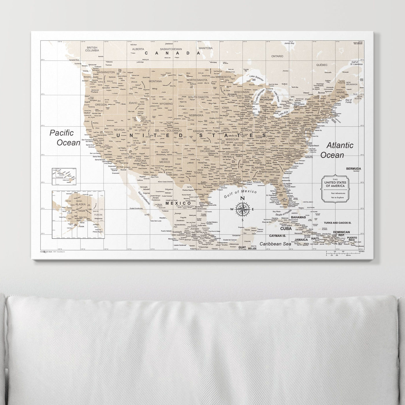 USA Travel Map Pin Board with Push Pins: Light Brown Color Splash ...