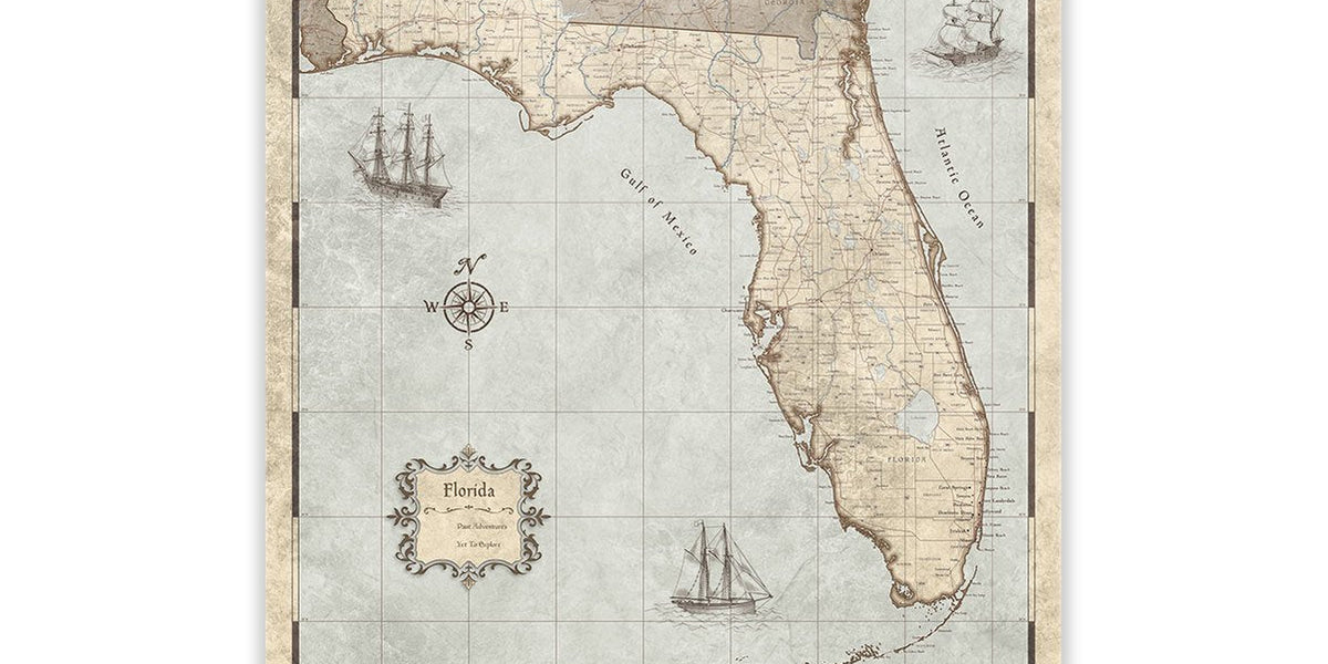 Push Pin Florida Map (Pin Board) - Rustic Vintage - Conquest Maps LLC